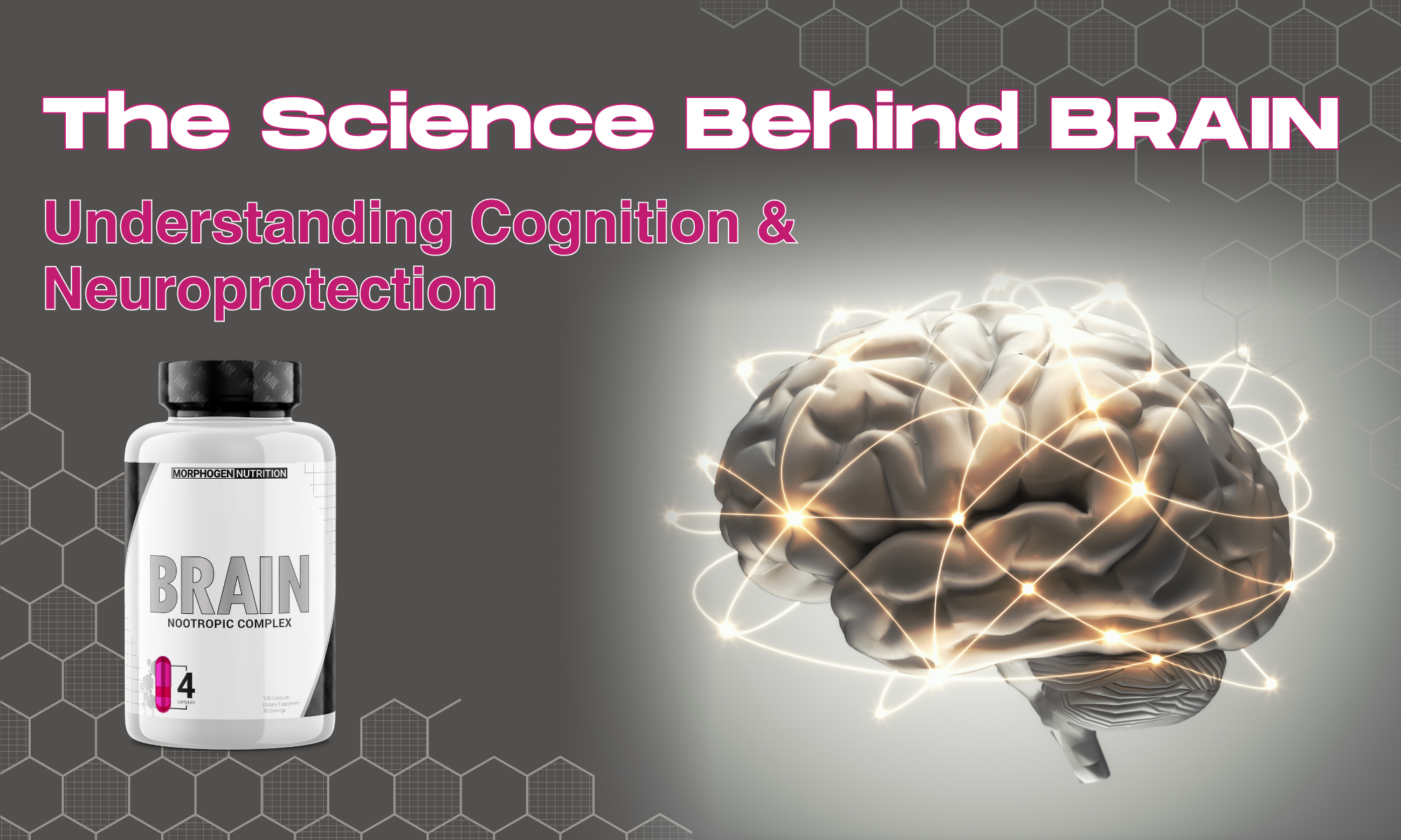The Science Behind BRAIN – Morphogen Nutrition