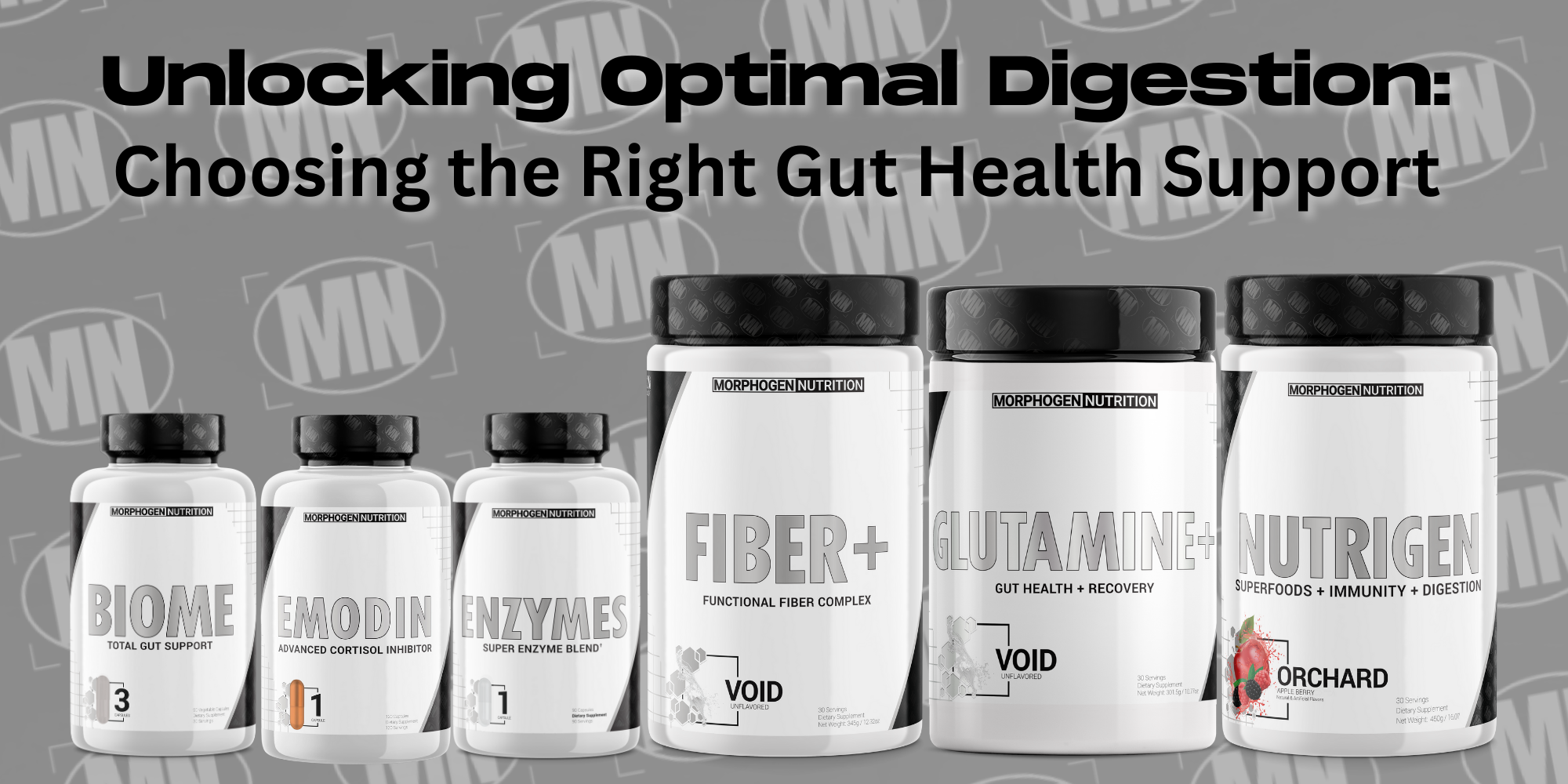Unlocking Optimal Digestion | Choosing the Right Gut Health Support Su ...