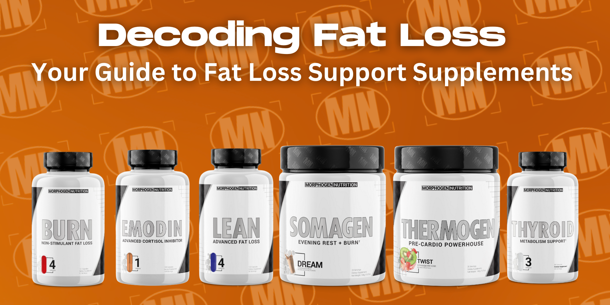 Decoding Fat Loss | Your Guide to Fat Loss Support Supplements ...