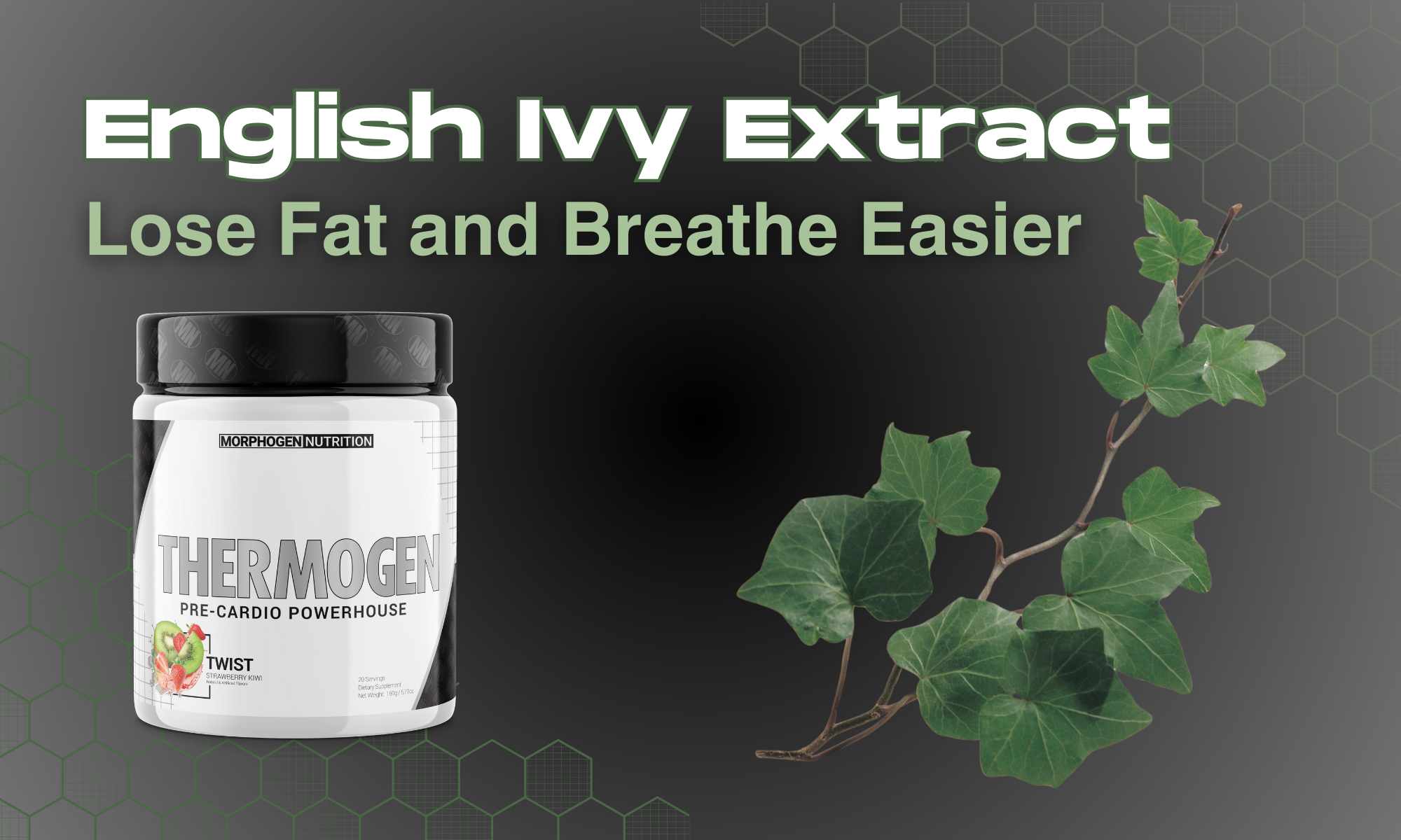 English Ivy Extract: Lose Fat and Breathe Easier – Morphogen Nutrition