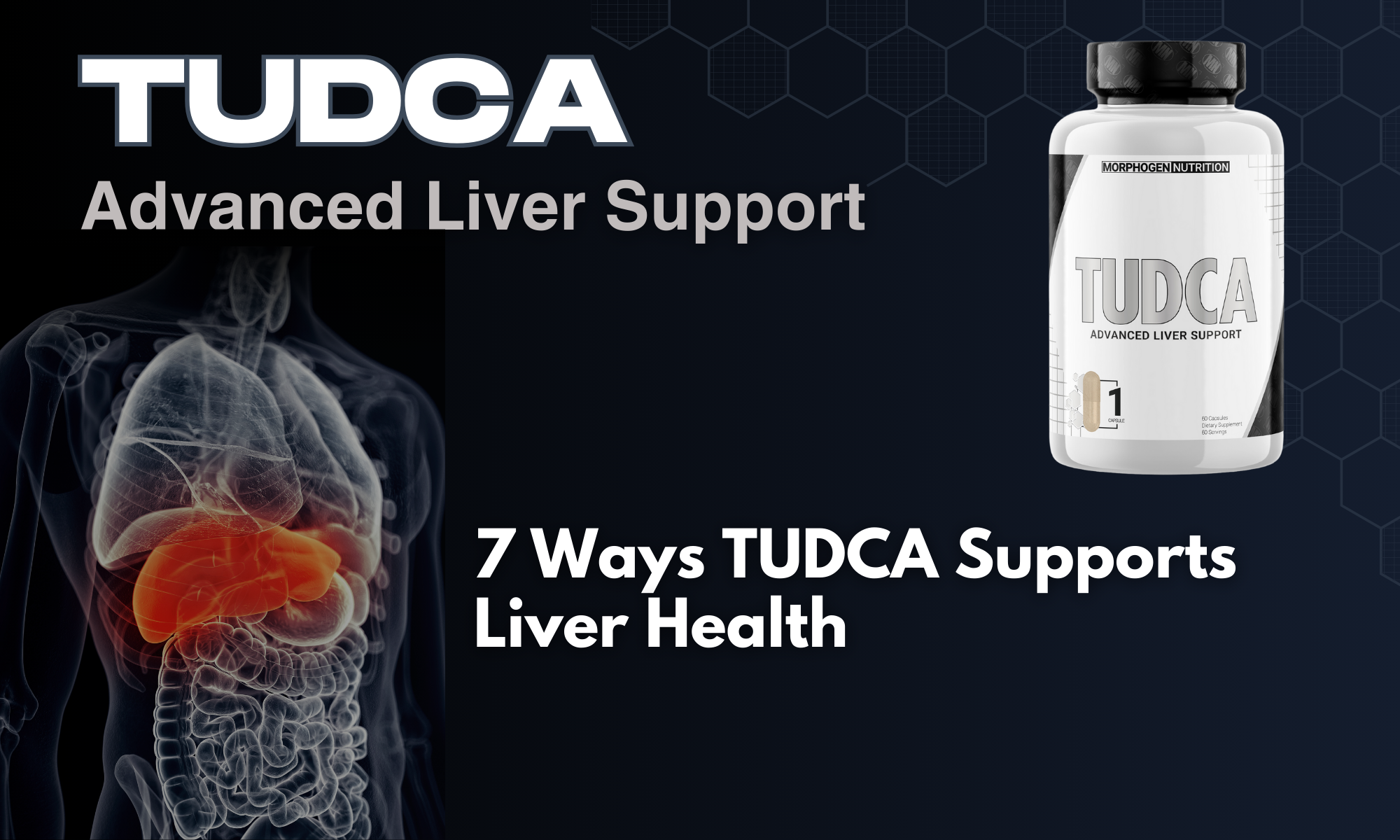 7 Ways TUDCA Supports Liver Health – Morphogen Nutrition