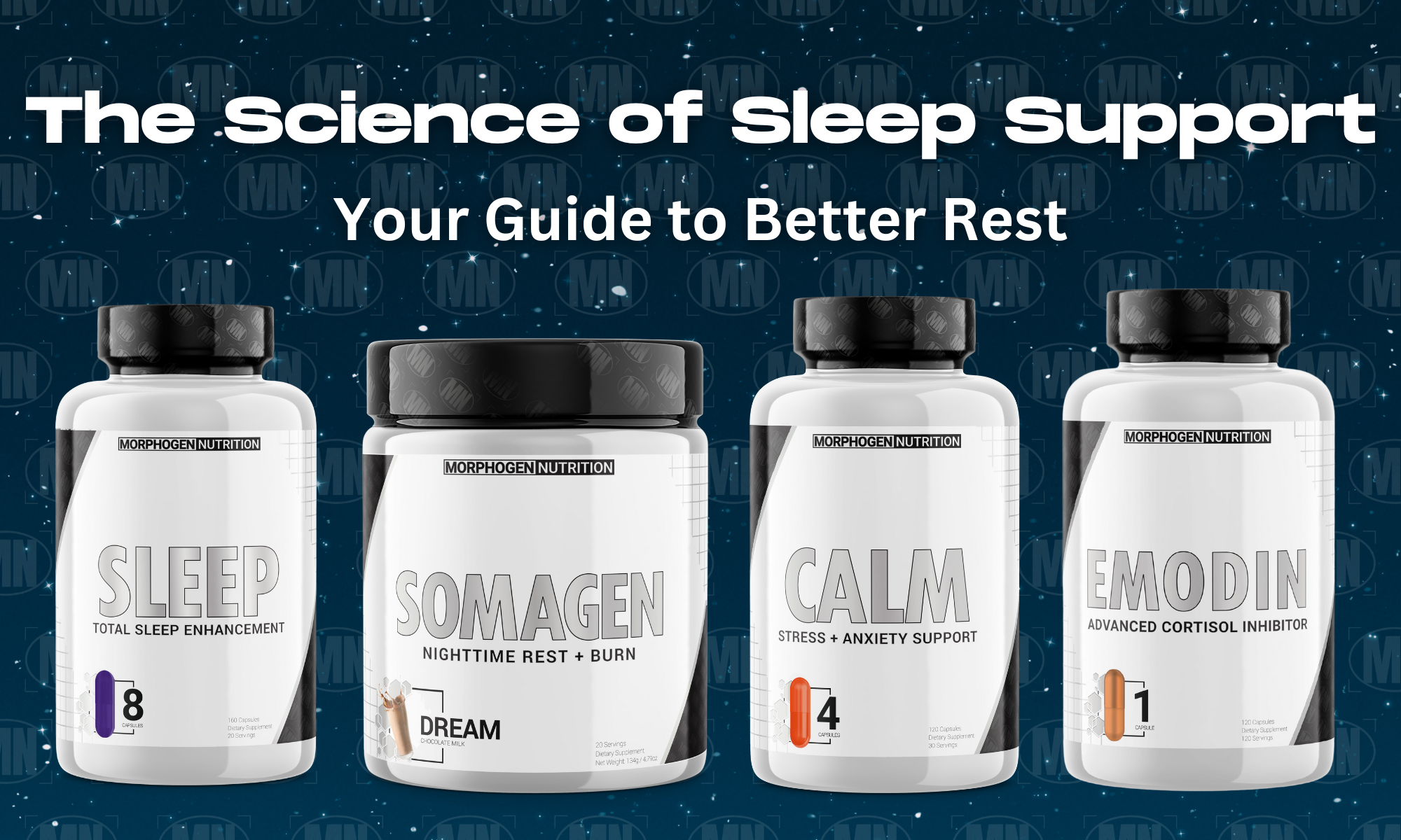 The Science of Sleep Support | Your Guide to Better Rest – Morphogen ...