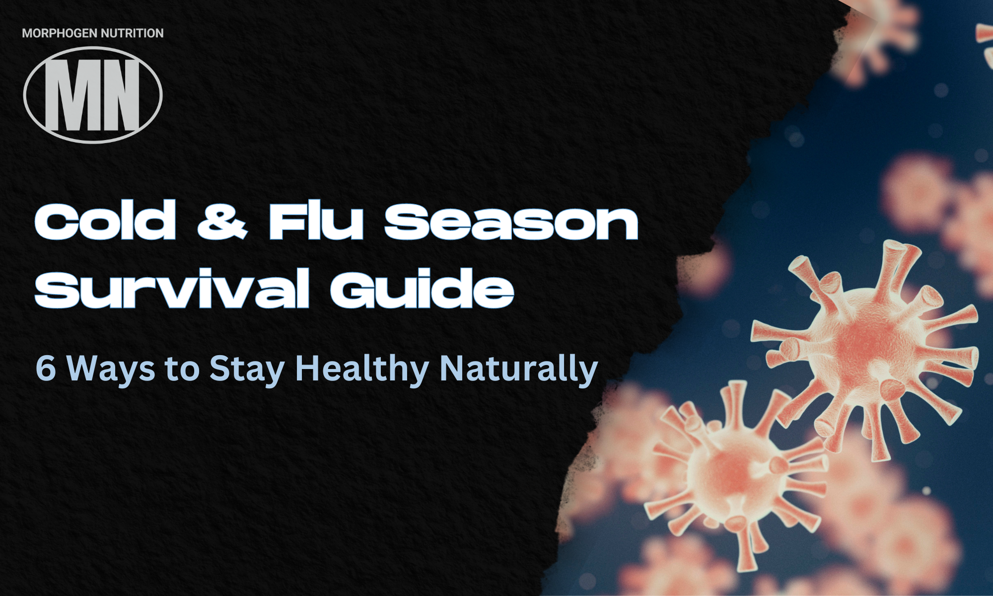 Cold & Flu Season Survival Guide | 6 Ways to Stay Healthy Naturally ...
